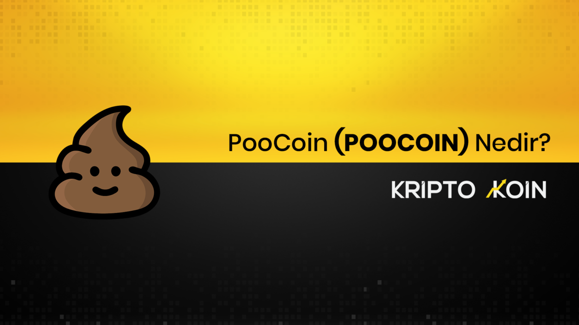 PooCoin Nedir? POOCOIN Ne İşe Yarar? – Piyasa Teknik | Kazananların Sitesi